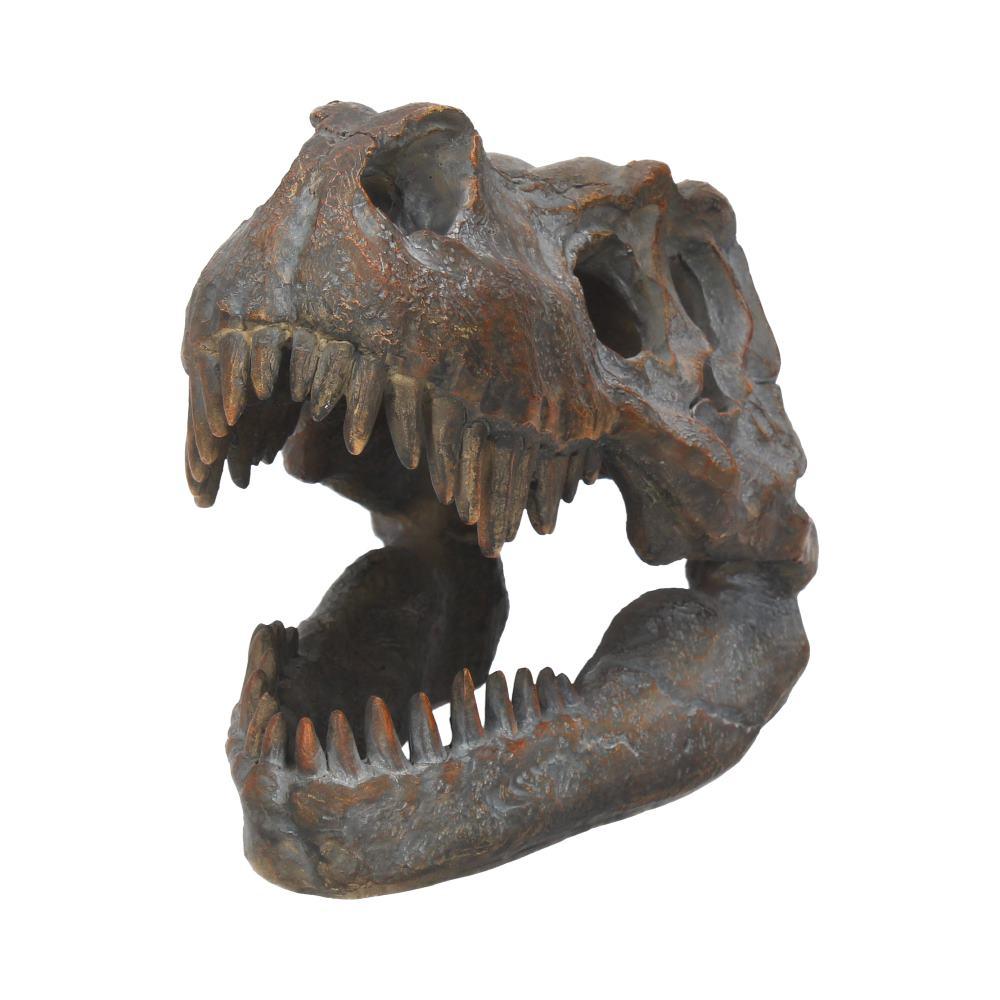 Freestanding Tyrannosaurus Rex Skull Figurine Ornament | Gothic Gifts