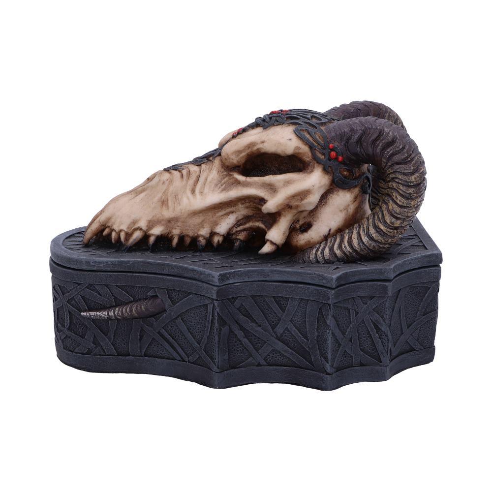Dragon Skull Box (Monte Moore) 17.7cm | Gothic Gifts
