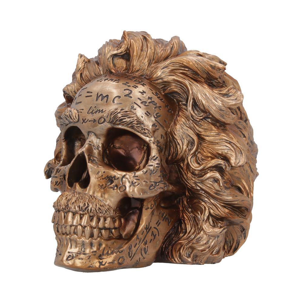 The Theory of Relativity Bronze Einstein Skull 21cm | Bronze Gifts