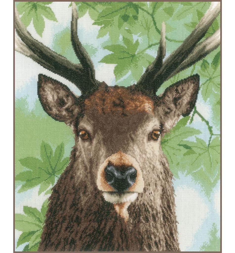 Proud Red Deer - Counted Cross Stitch Kit | Stitch Shop