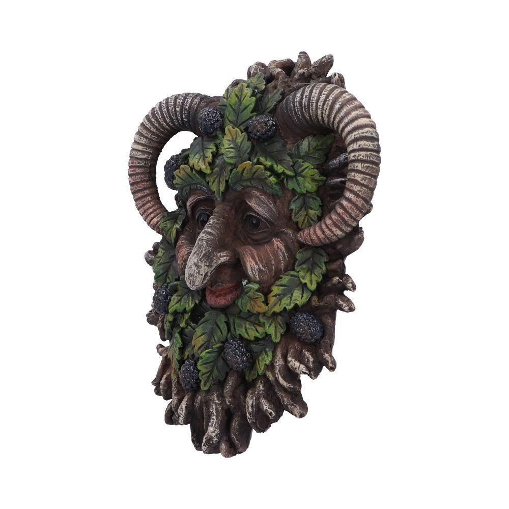 Spruce Wall Mounted Tree Spirit 20.8cm | Gothic Gifts