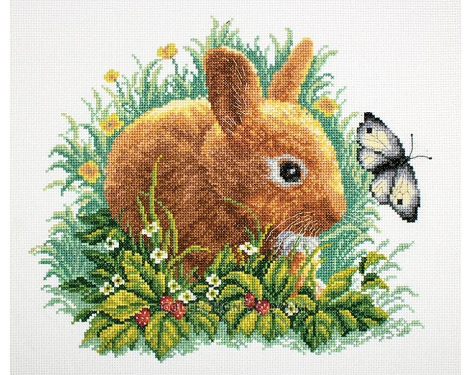 Cross-Stitch Kit - Rabbit and Butterfly | Stitch Shop