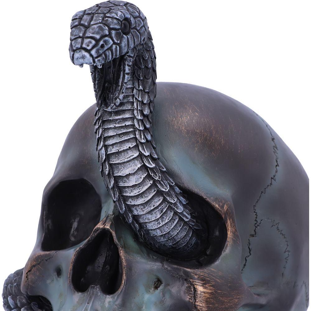 Serpentine Fate Gothic Snake Skull | Gothic Gifts