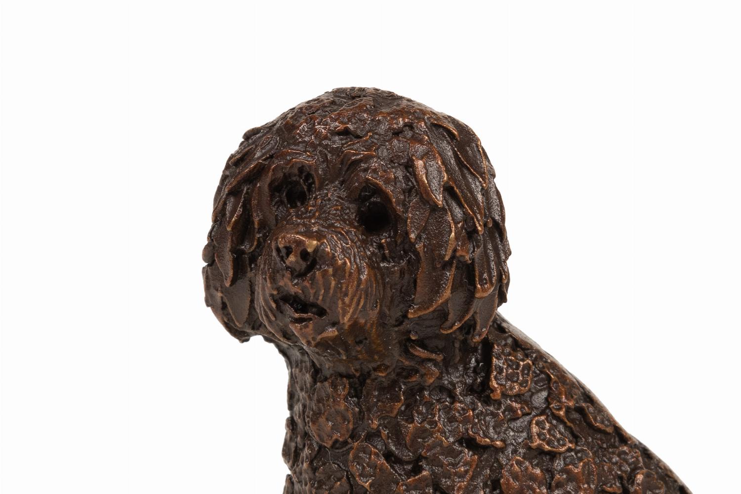 Labradoodle Sitting - Solid Bronze Small Sculpture (Frith Creative ...