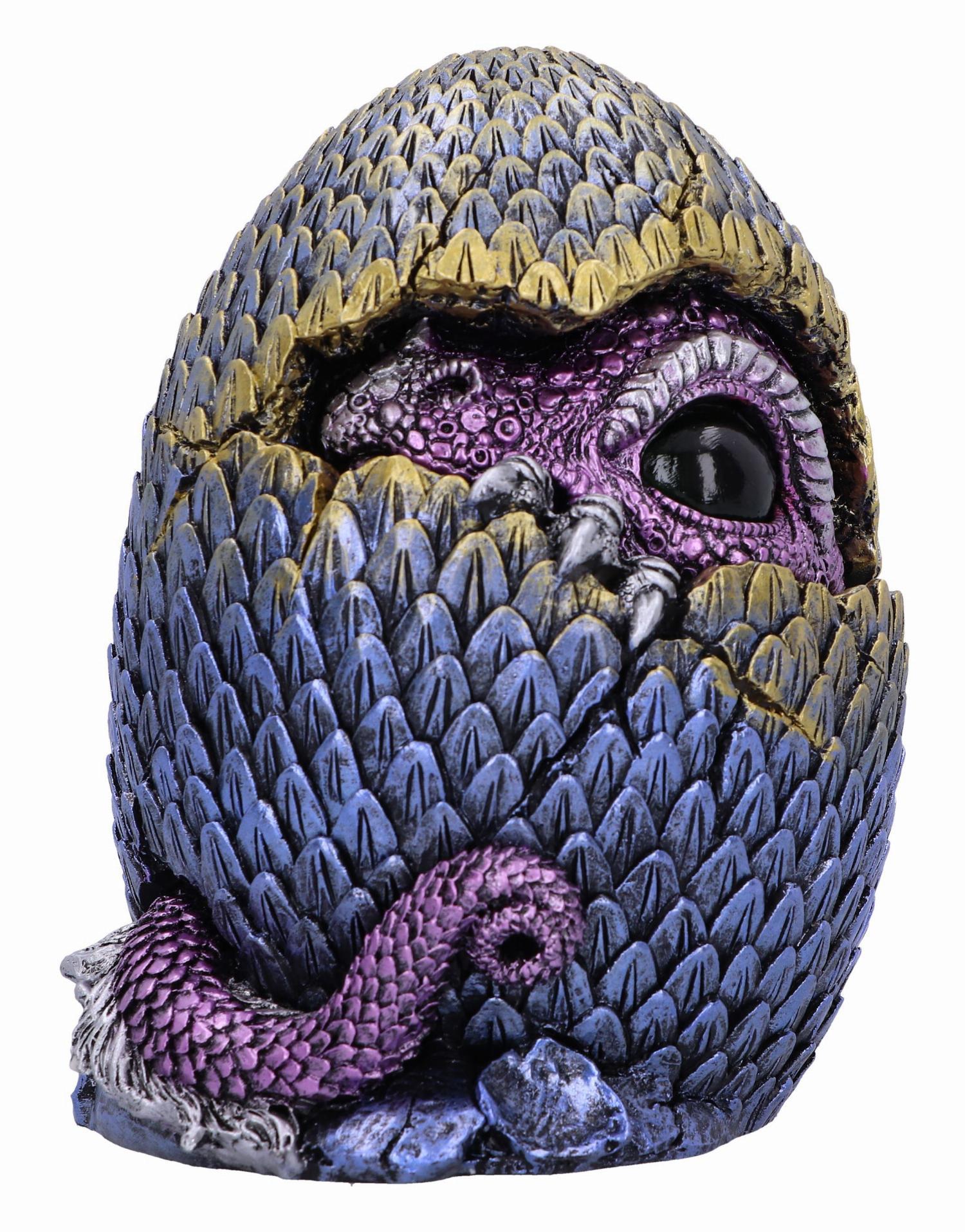 Hidden Hatchling Dragon Ornament | Gothic Gifts