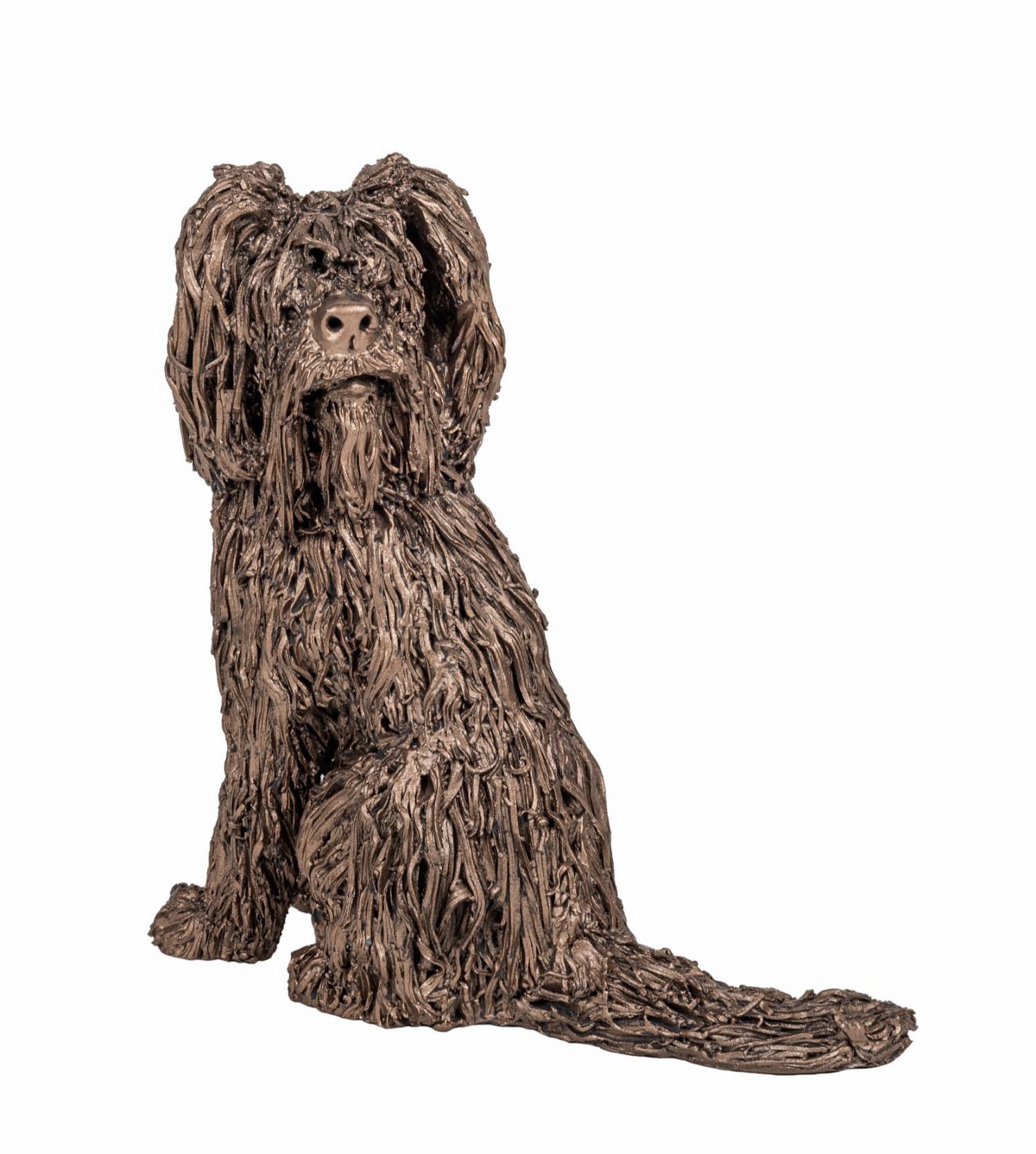 Vandal Labradoodle Sitting Up by Veronica Ballan (Frith Sculpture ...