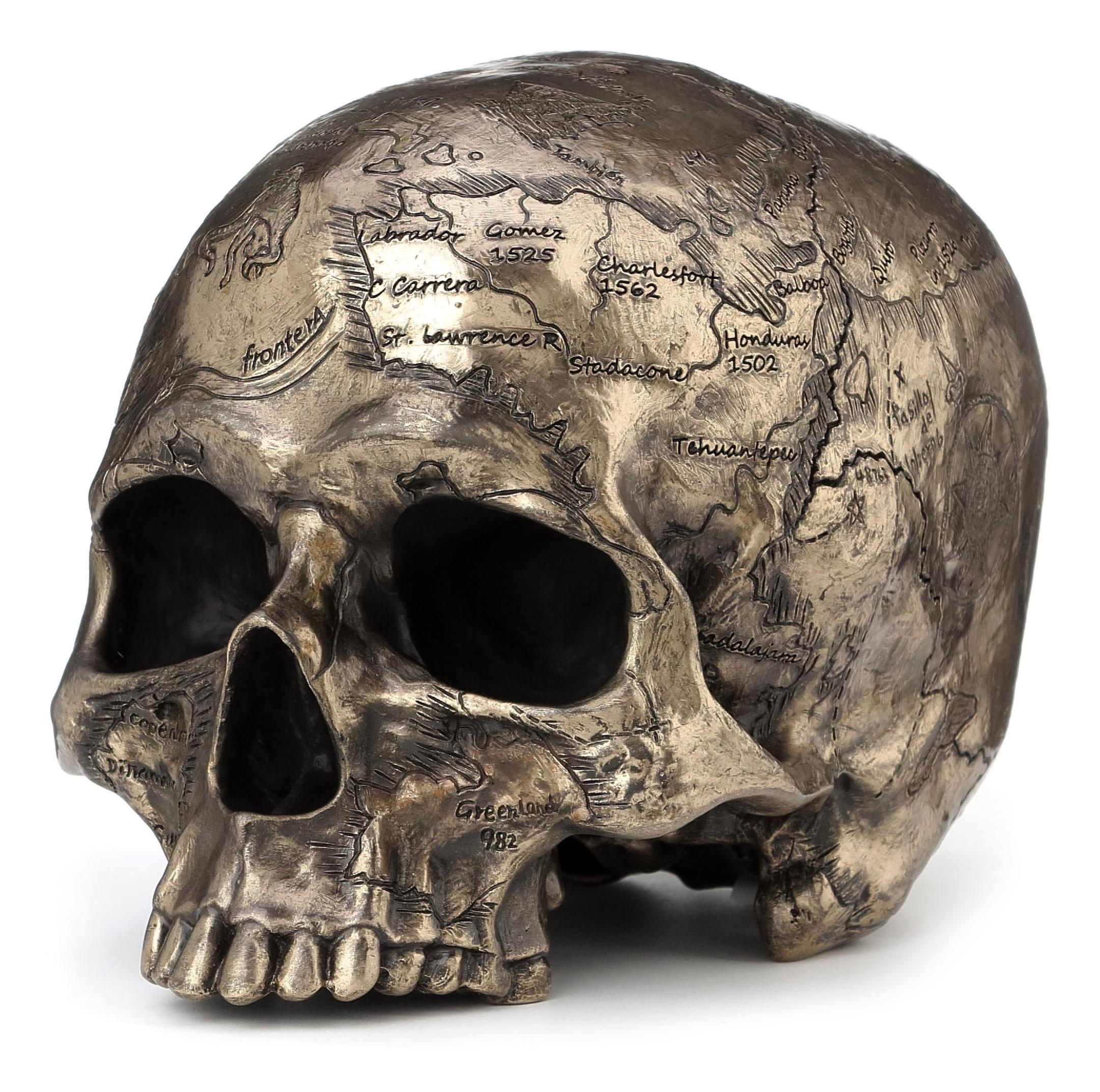 Craniumography Skull Map Bronze Ornament (By Veronese) | Gothic Gifts