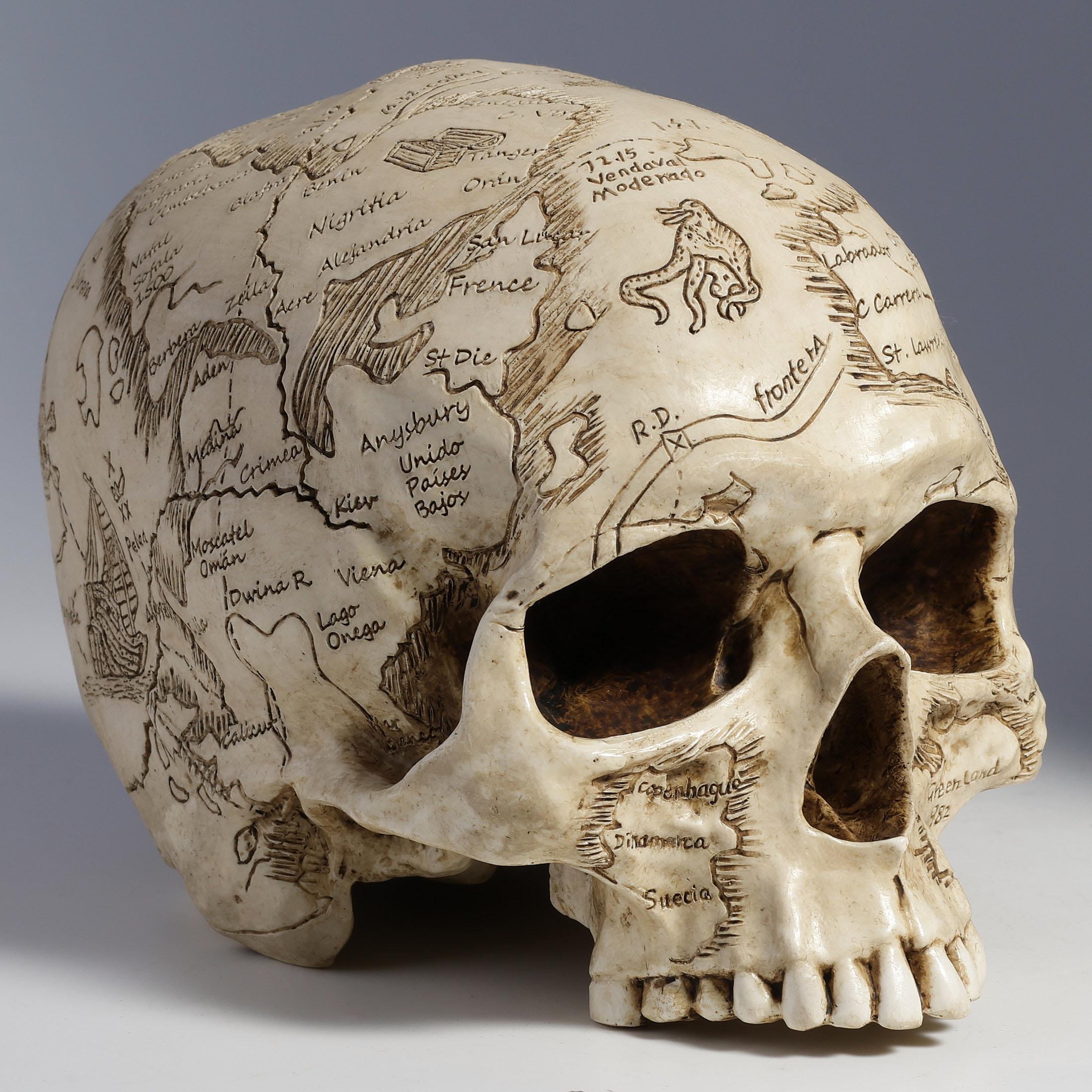 Craniumography Map Skull Ornament | Gothic Gifts