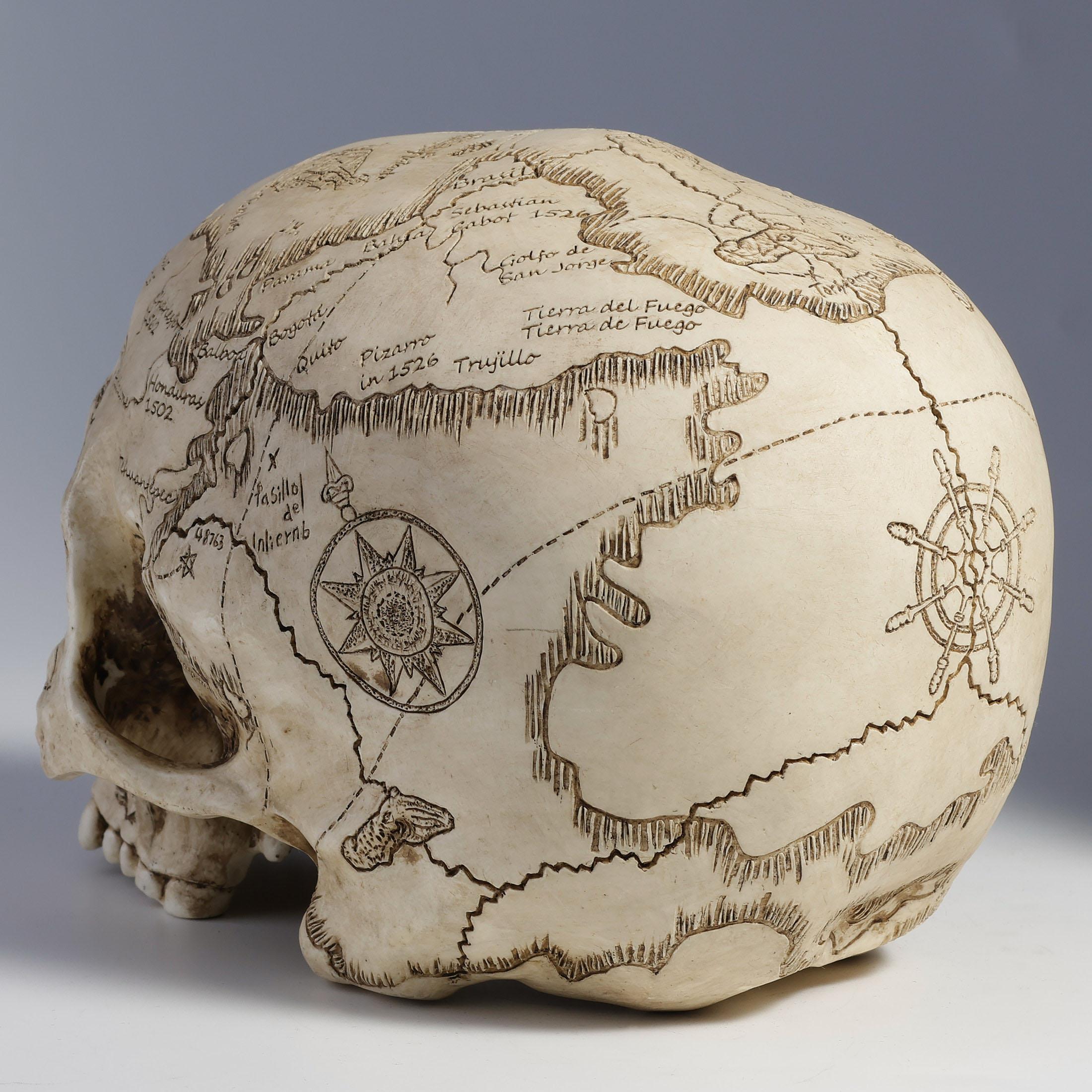 Craniumography Map Skull Ornament | Gothic Gifts