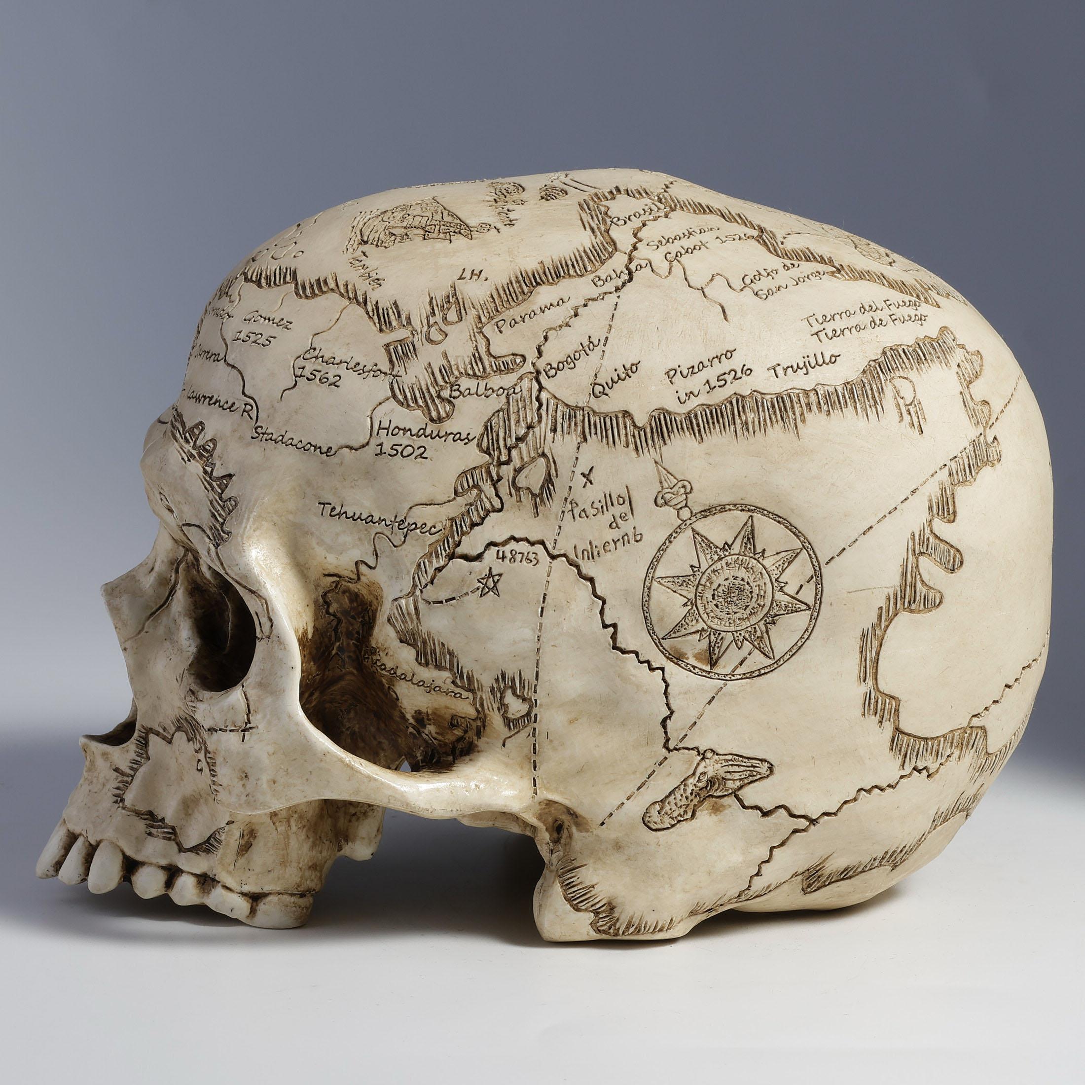 Craniumography Map Skull Ornament | Gothic Gifts