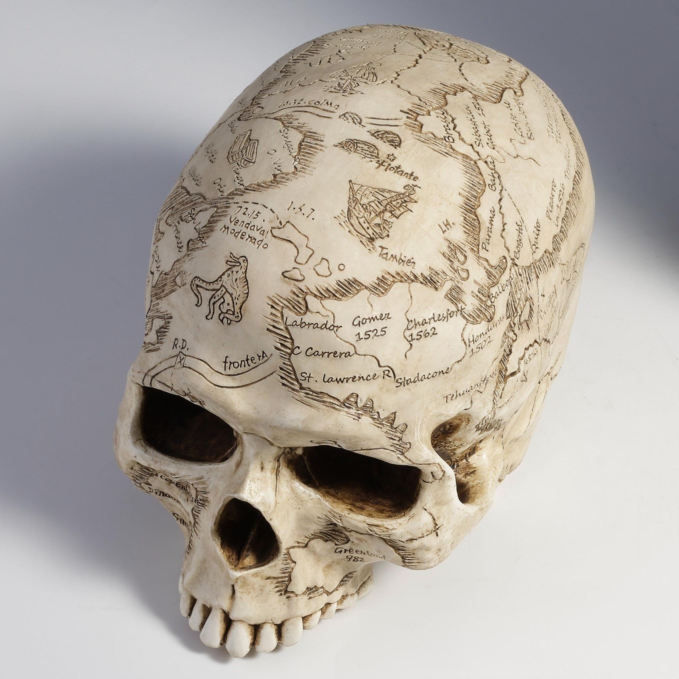 Craniumography Map Skull Ornament | Gothic Gifts