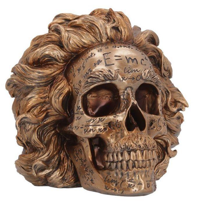 The Theory of Relativity Bronze Einstein Skull 21cm | Bronze Gifts