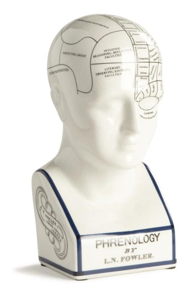Phrenology Head Porcelain Bust Large by Authentic Models | A Gentleman's Bits