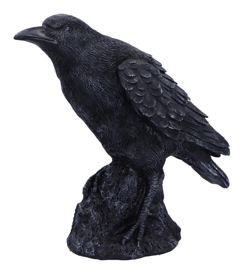 Raven Messenger Figurine 25cm | Gothic Gifts